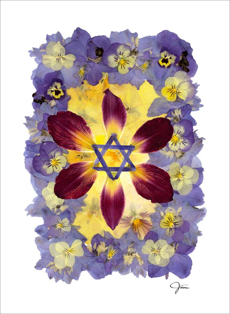Israel Archives - Lilies of the Field, Inc.